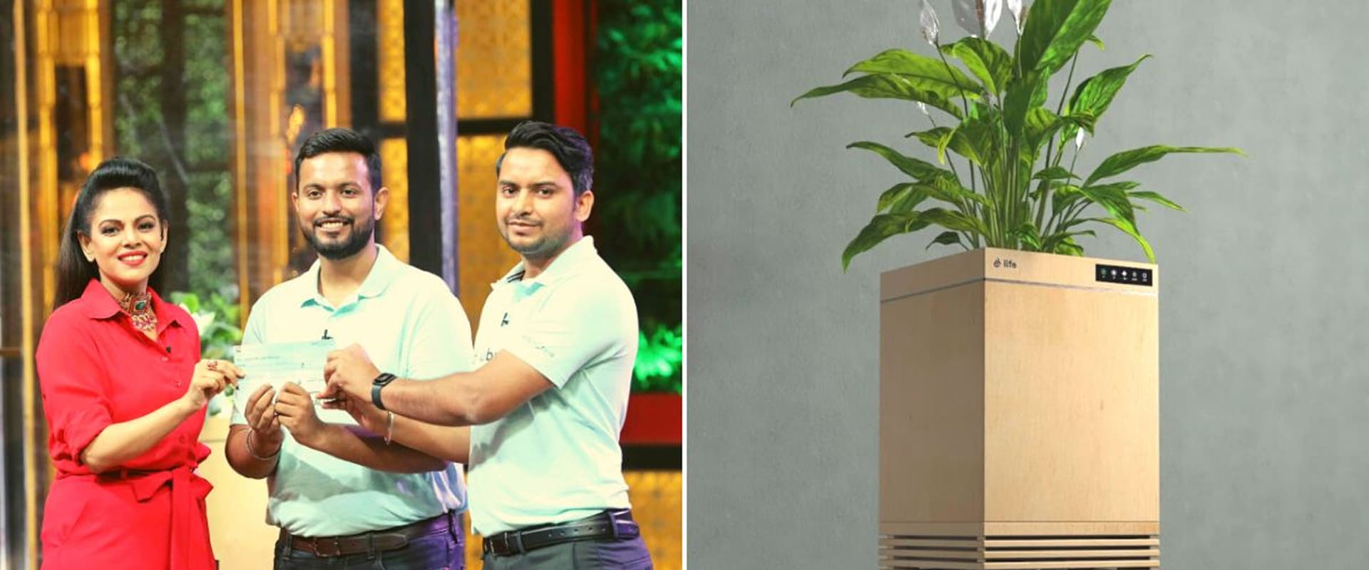 Plant-Based Air Purification: A Sustainable Solution for India's ...